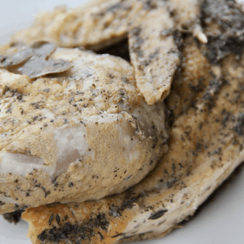 51 of the Best Carnivore Diet Recipes - Keto Keuhn Nutrition