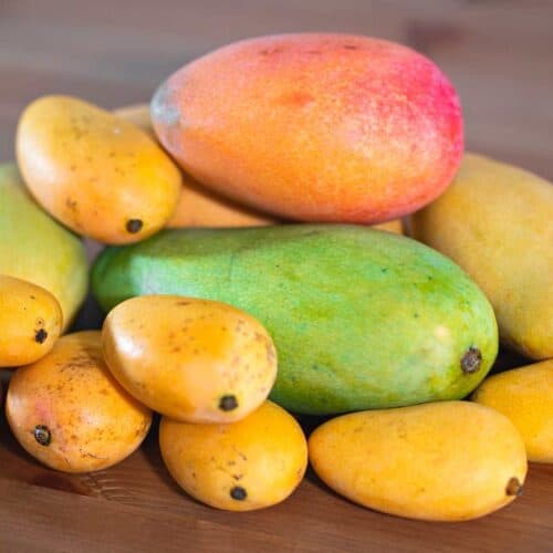 The Complete Guide to Mangoes on Keto - Keto Keuhn Nutrition